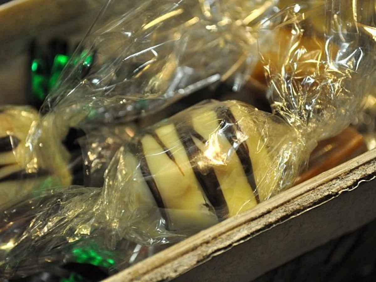 Recette au michoko - 15 recettes sur Ptitchef