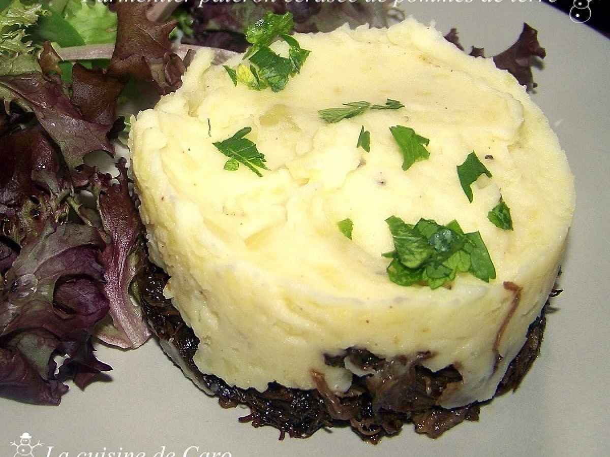 Parmentier à la pomme de terre - 203 recettes sur Ptitchef