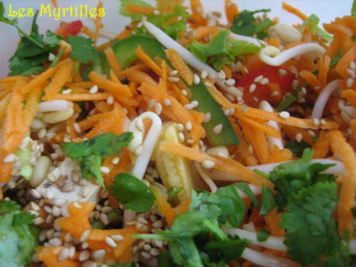 Salade chinoise - 13 recettes sur Ptitchef