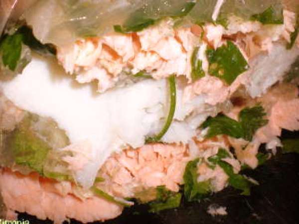 Recette de terrine de poisson et de saumon fumé