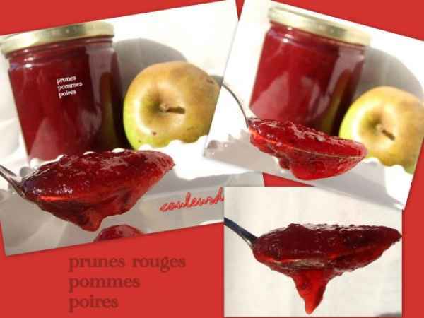 Recette de confiture de prunes sauvages : 2e édition