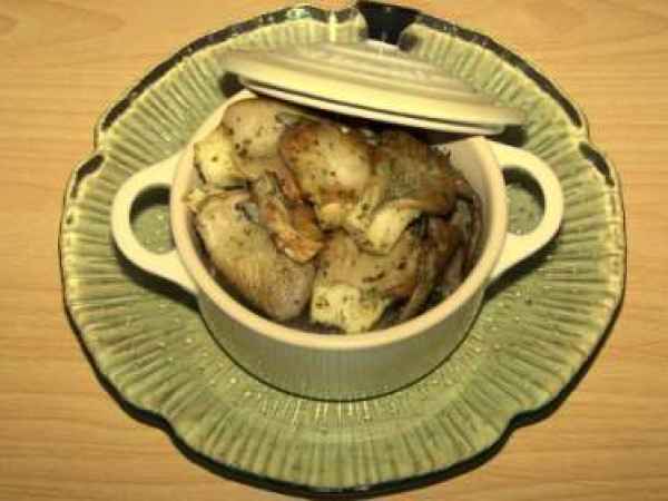 Recette de pleurotes - 24 recettes sur Ptitchef