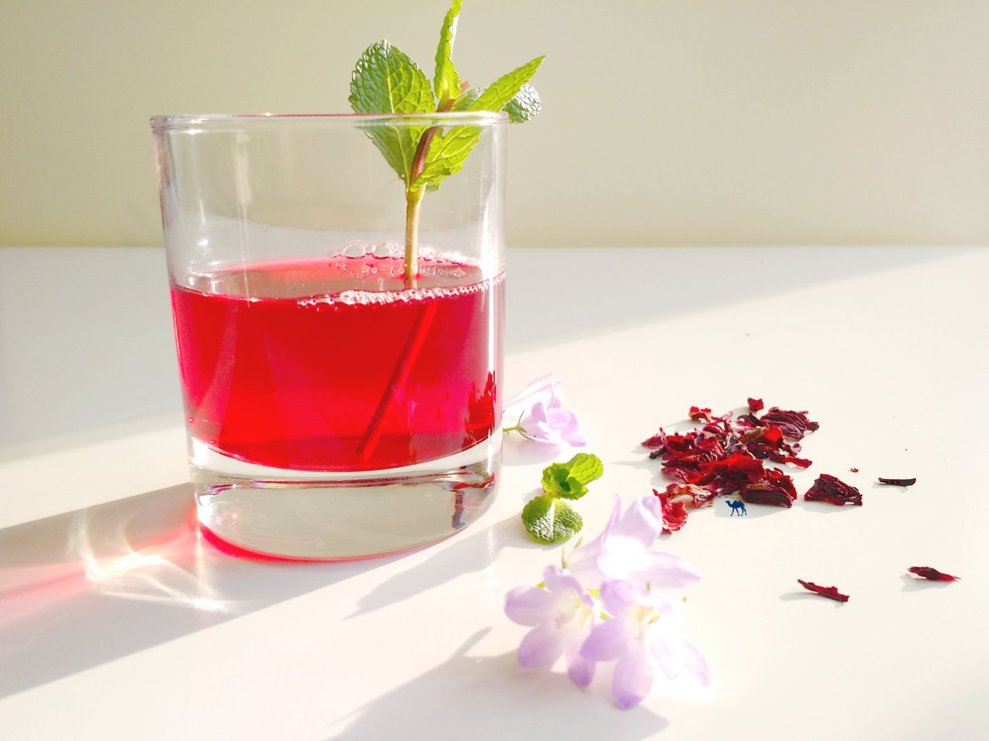Recette de bissap ou jus de fleur d'hibiscus