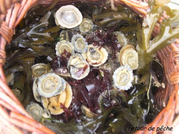 Recette de brenique, brennig, bernique...