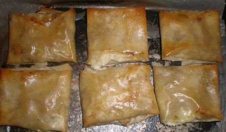 Brick poireaux/oignons/champignon/parmesan - Recette Ptitchef