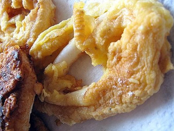 Recette de calamars frits maison croustillants et savoureux