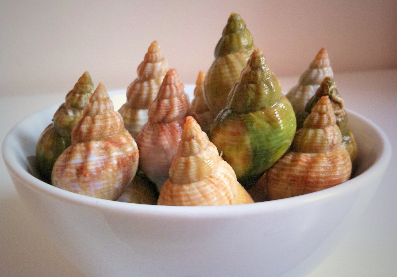 Recette de caricoles ou escargots de mer