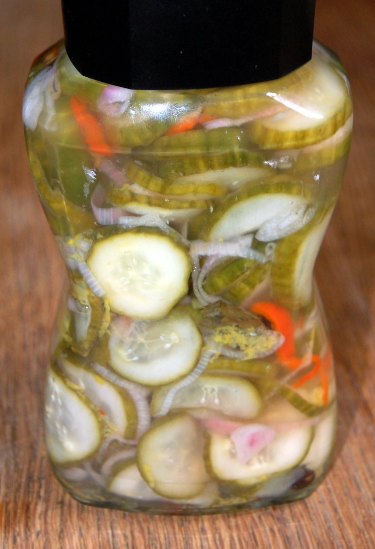 Recette de concombres à la vodka, menthe et lime