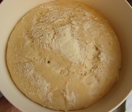 Recette de levain naturel à base de raisins