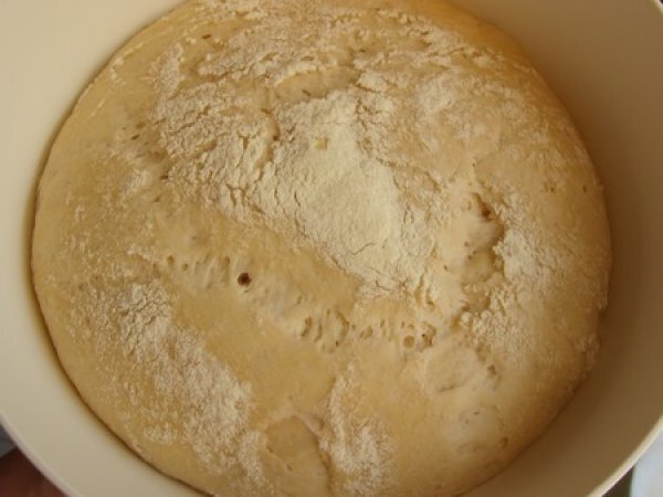 Recette de levain naturel à base de raisins