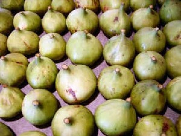 Recette de figues séchées délicieuses et faciles
