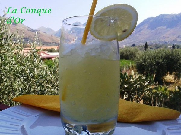 Recette de granita citronnée rafraîchissante et savoureuse