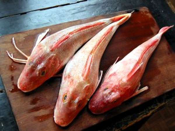 Recette de grondin farci à la bohémienne