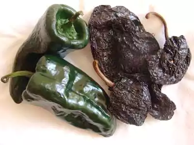 La recette du poblano dans la saga des piments