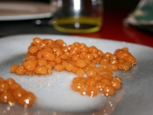 Le kit sphérification recette texturas ferran adria