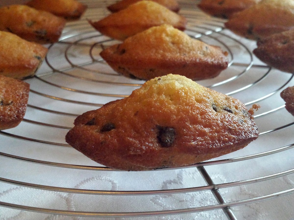 Recette madeleines aux pépites de chocolat