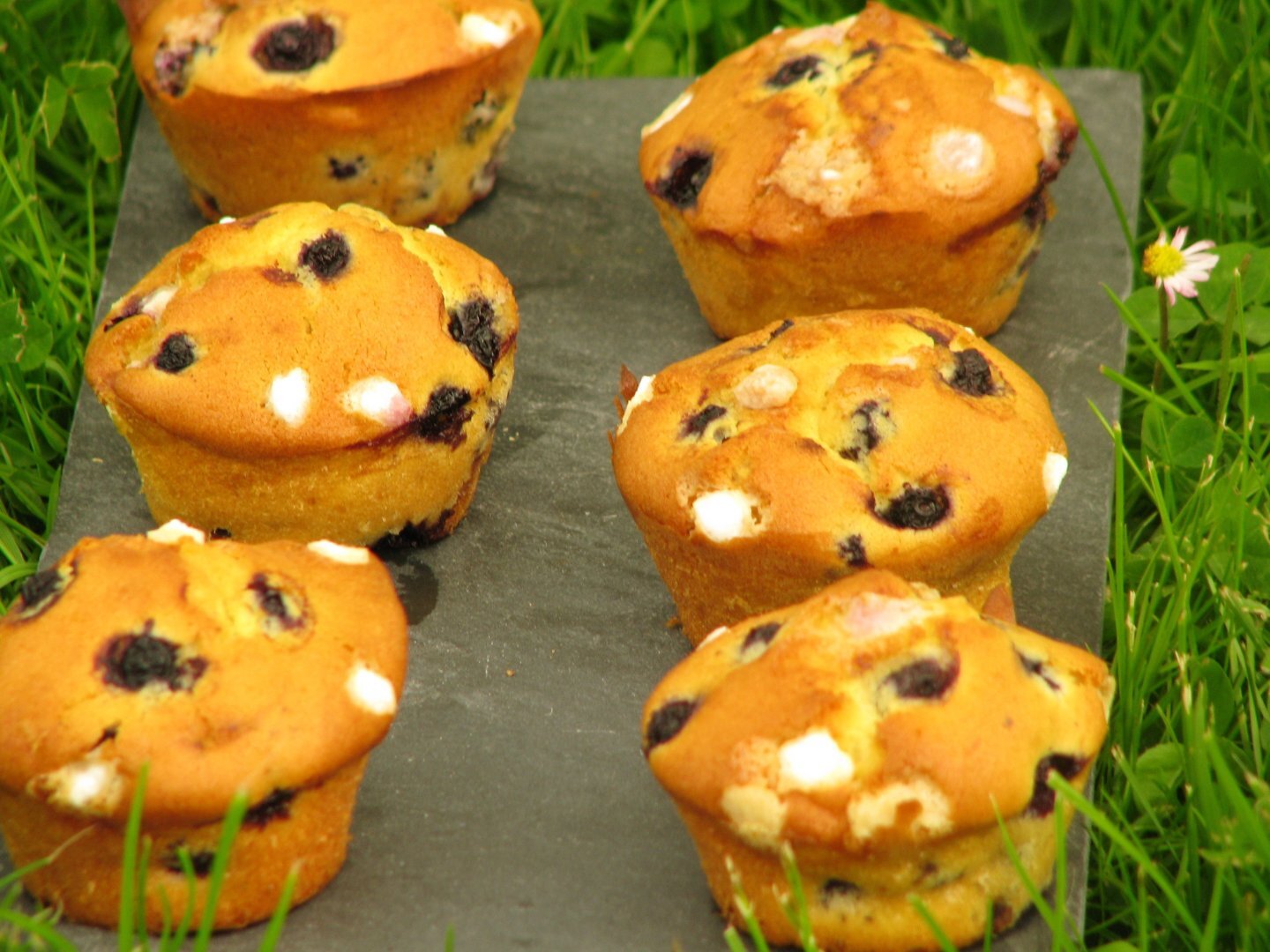 Recette de muffins aux groseilles et au sucre perlé