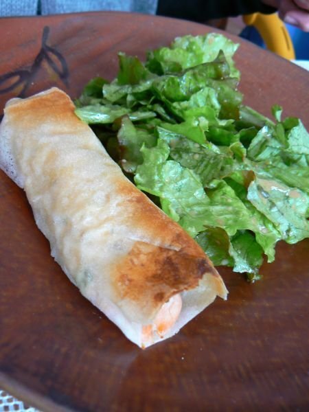 Recette de nems au saumon savoureux et facile