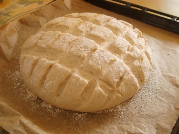Recette de pain polka savoureuse et facile à réaliser