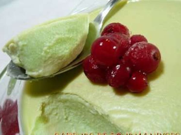 Recette de panna cotta au thé matcha délicieuse