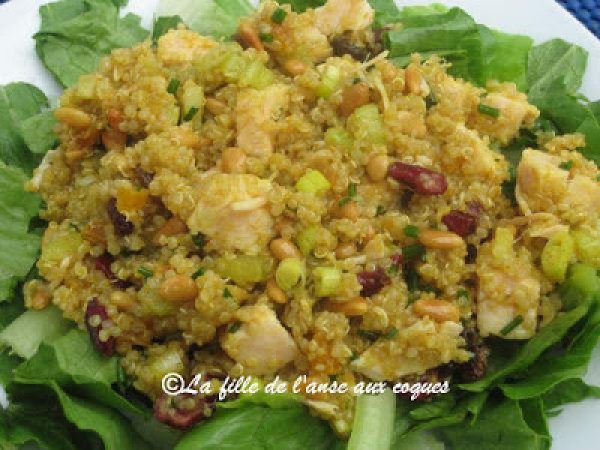 Recette de quinoa au poulet et curry savoureux