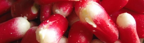 Recette de radis croquants au sel et épices