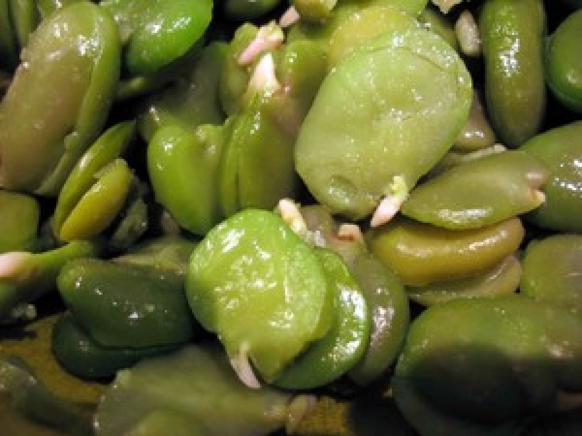 Salade de fèves et lardons et sa vinaigrette à l'orange chaude d'après ...