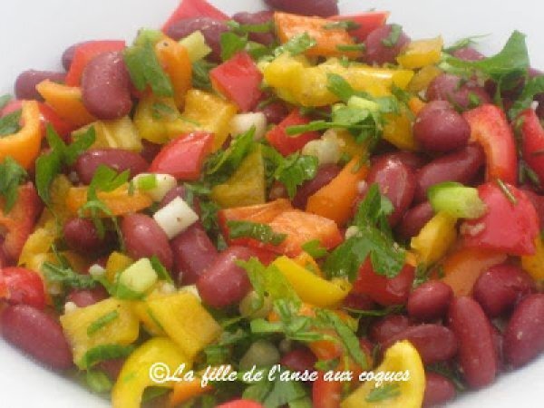 Recette de salade de haricots rouges et légumes frais