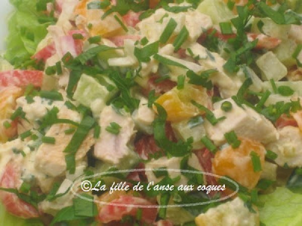 Recette de salade: poulet, tomates, laitue, poivron