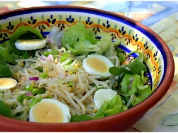 Recette de salade fraîche aux germes de soja