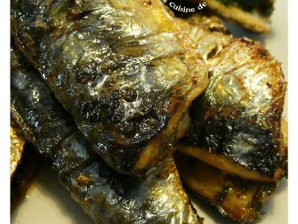 Recette de sardines farcies à la chermoula