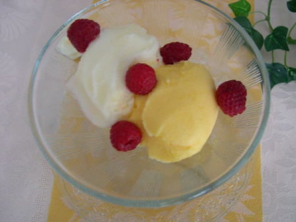 Recette de sorbets aux agrumes sans sorbetière