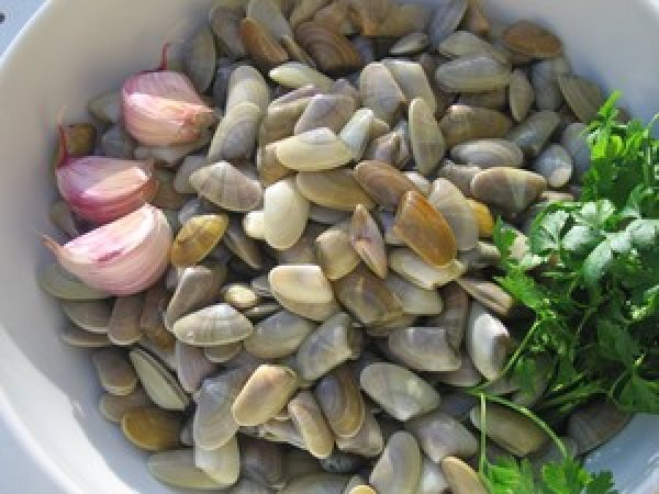 Recette de tellines savoureuses et faciles à préparer