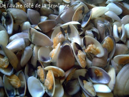 Tellines au naturel - Recette Ptitchef