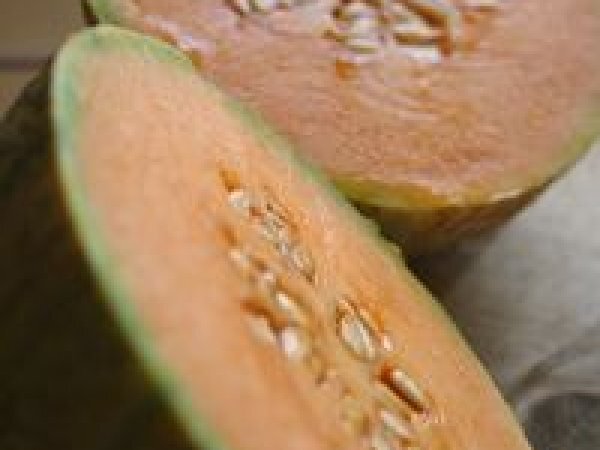 Recette de terrine melon et serrano en gelée de porto