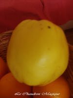 Un fruit de saison : le coing. une recette : le sirop de coings.