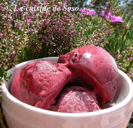 Recette de sorbet au cassis sans glucose